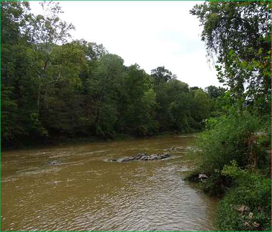 Group gathers to discuss and promote Rivanna River renaissance