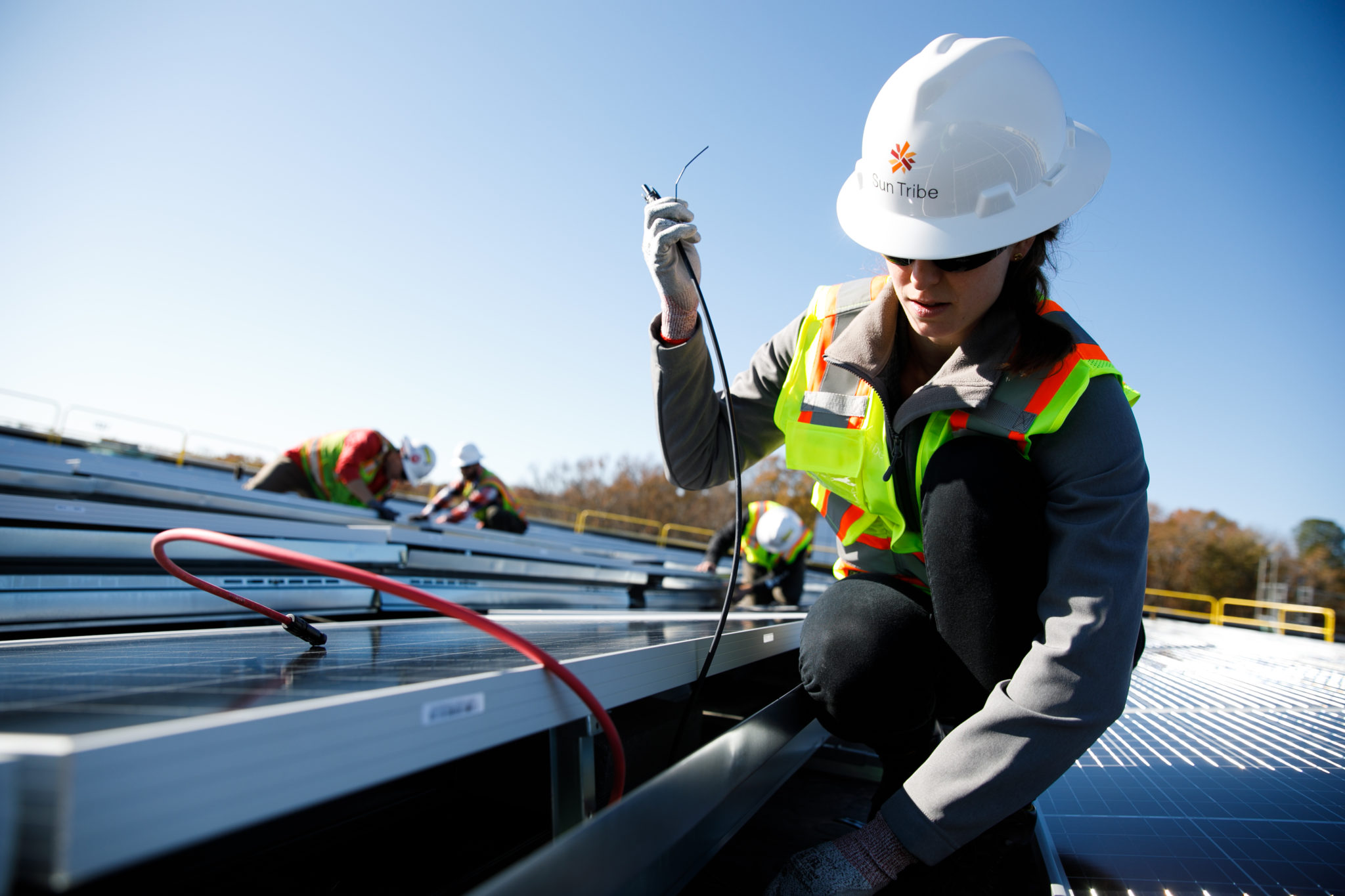 The path to net zero